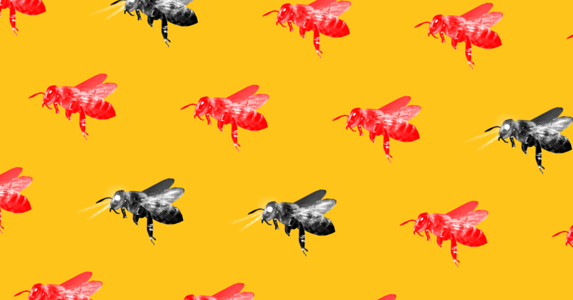 Robo-Bees Can Infiltrate and Influence Insect Societies To Stop Them ...