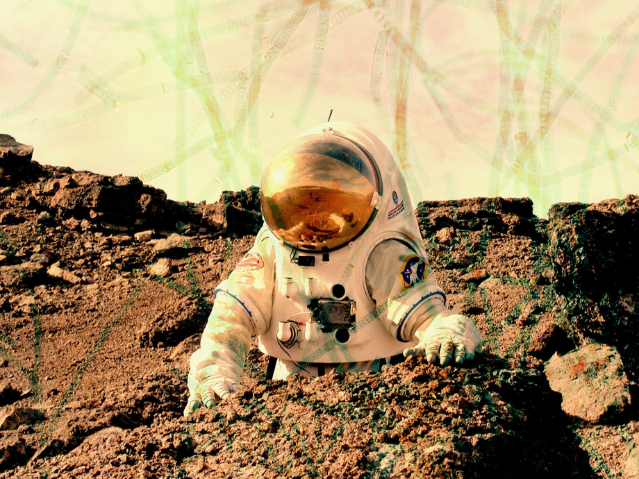 Want to Breathe on Mars? A Sea-Dwelling Bacteria Could Make That Possible.