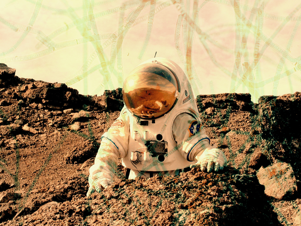 Want to Breathe on Mars? A Sea-Dwelling Bacteria Could Make That Possible.