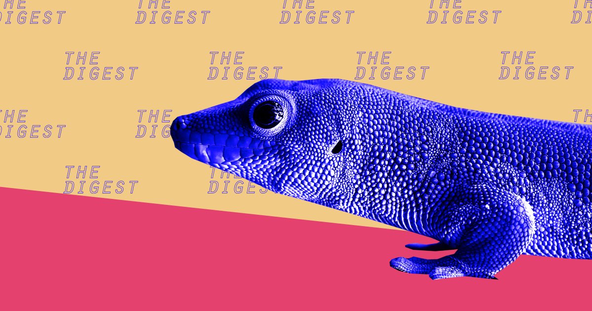 Gecko Brain Regeneration & The Human Brain | Futurism