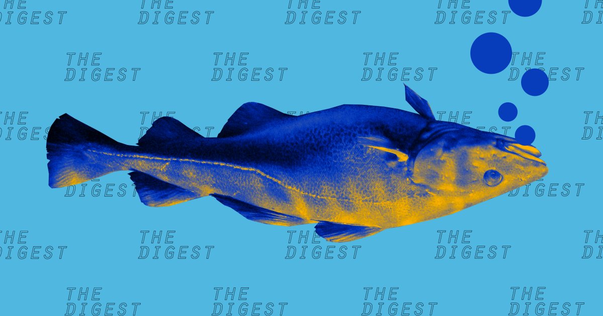 A Warm Water Mass Called “The Blob” Is Killing Alaska’s Cod