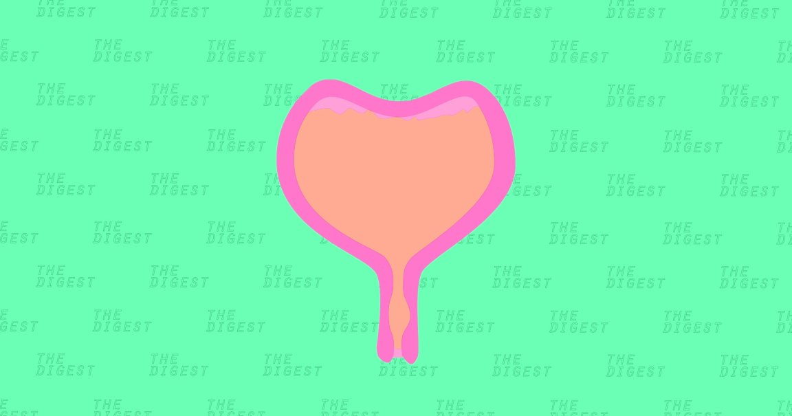 Lab-Grown Bladders Can Save People From a Lifetime of Dialysis