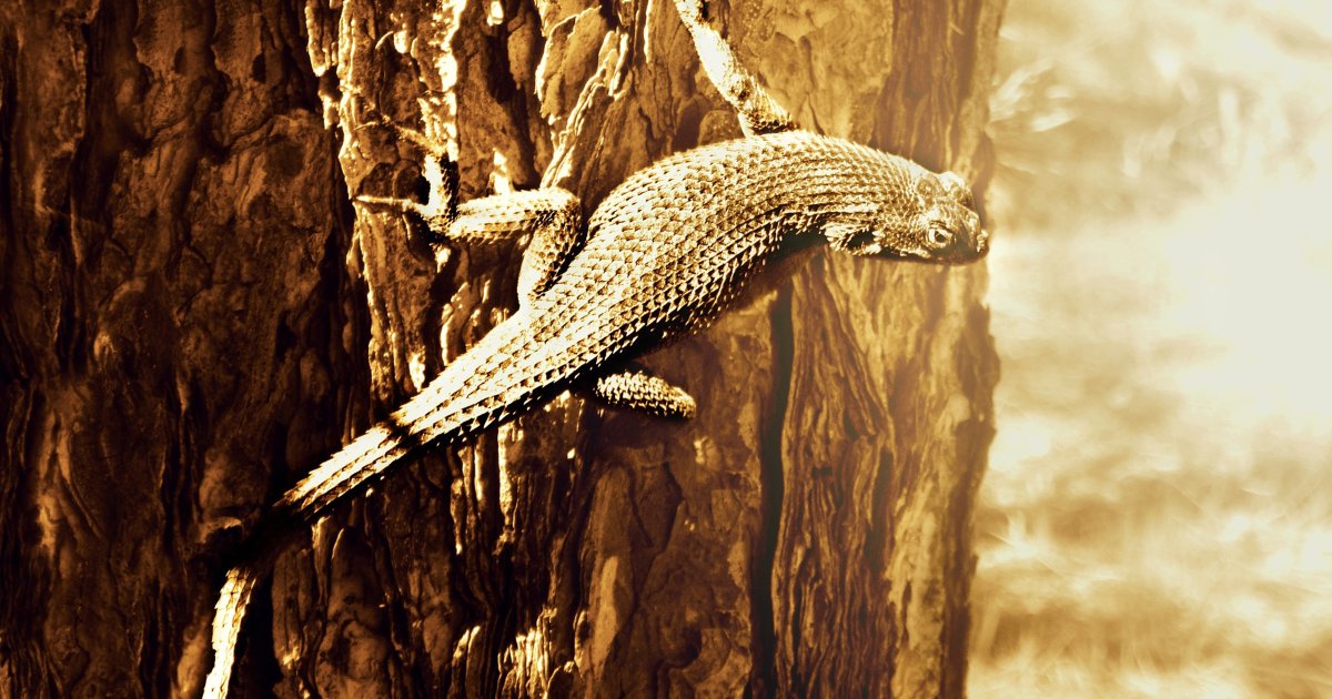 Giving Robots Lizard-Like Tails Could Improve Their Mobility