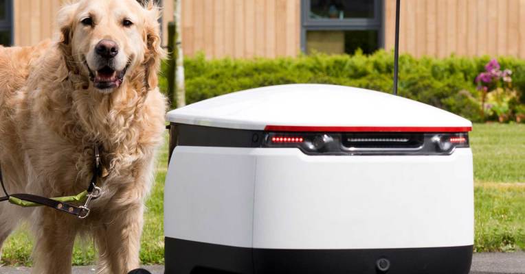 New Robot Dogs Can Deliver Your Lunch Right to Your Desk