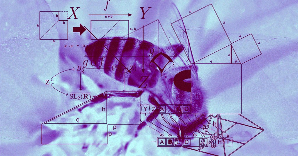 Honeybees Are Smart Enough to Learn Basic Math