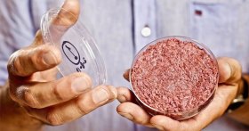 New Study Is Extremely Embarrassing for Lab-Grown Meat