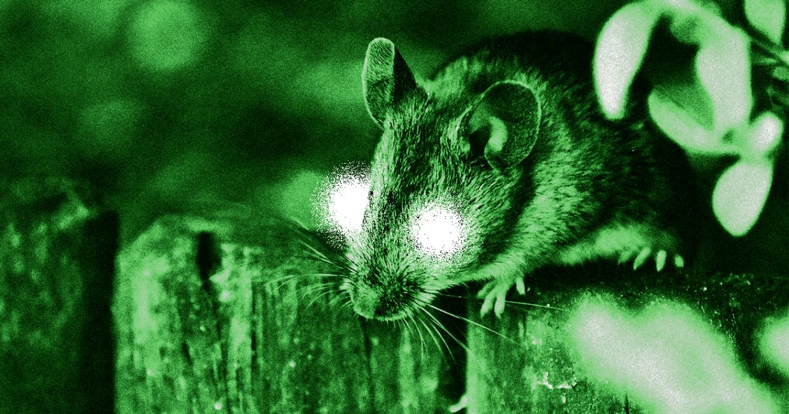 Scientists Give Mice "Super Vision" With Eye Injections