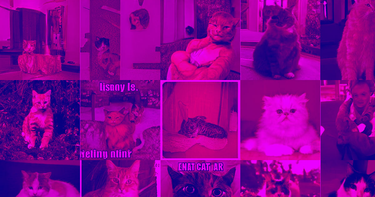 A New AI Draws Cats, and They're Utterly Grotesque