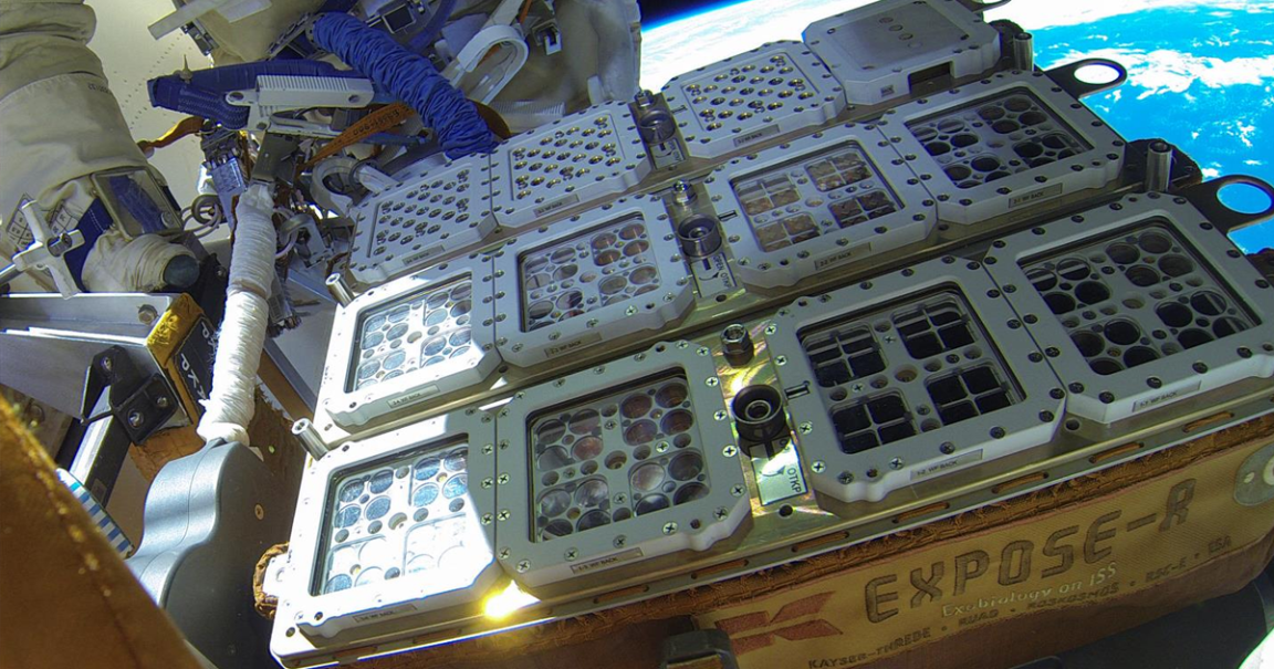 Organisms Survived on the Outside of the Space Station