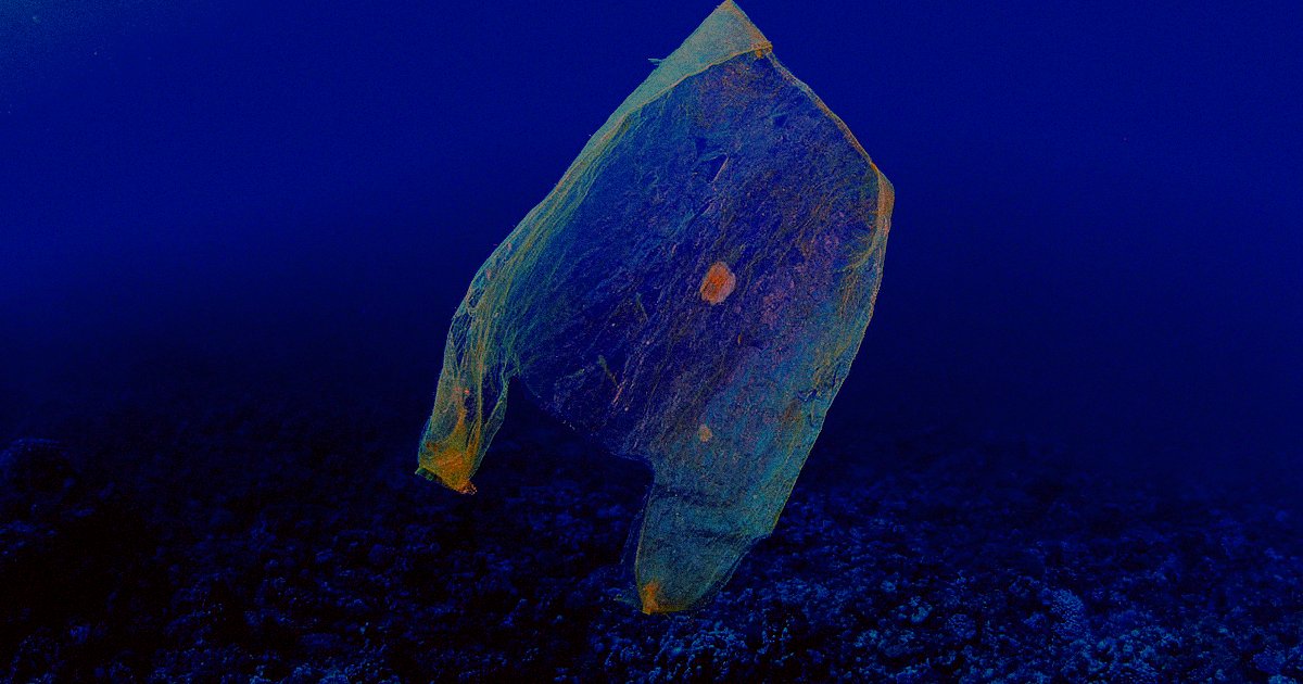 Diver Reaches Record Ocean Depth — and Finds a Plastic Bag