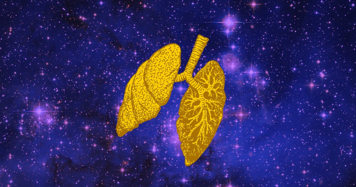 SpaceX Is Sending Living Bits of Human Organs to Space