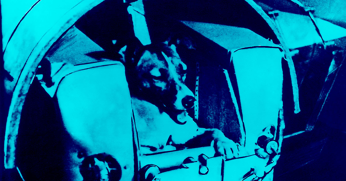 Scientists Are Calling for More Dogs in Space