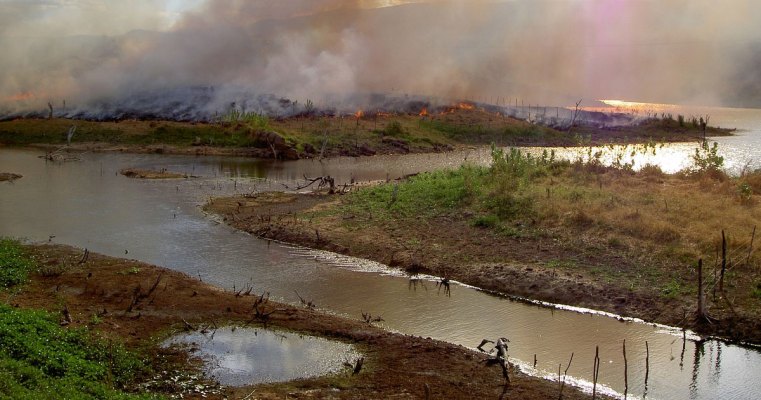 Scientists Warn Of "Cascading System Collapse" in Amazon Rainforest