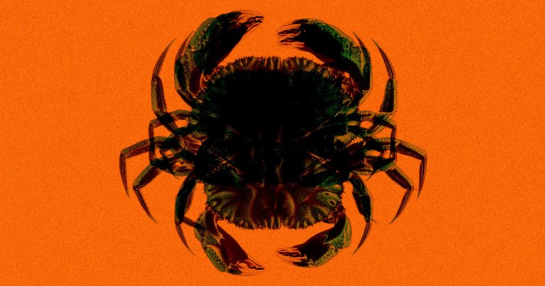 Deepwater Horizon Oil Spill Created Mutant Sea Creatures | Futurism