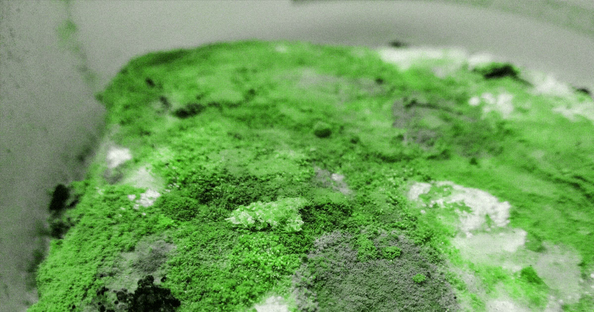 Amazon Keeps Delivering Moldy, Spoiled Food to Customers
