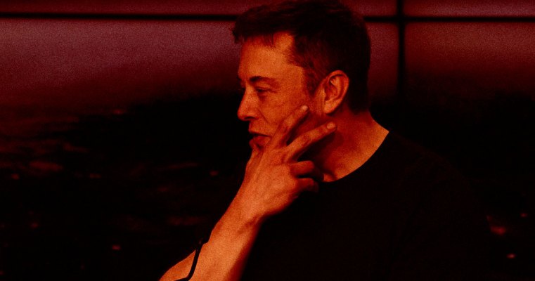 Elon Musk's Team Trees Meets $20 Million Goal | Futurism