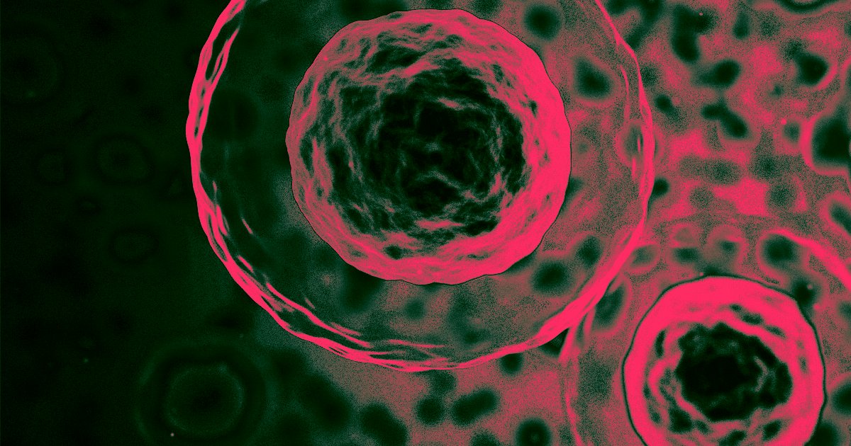 A New Project Is Helping Map Every Cell in the Human Body