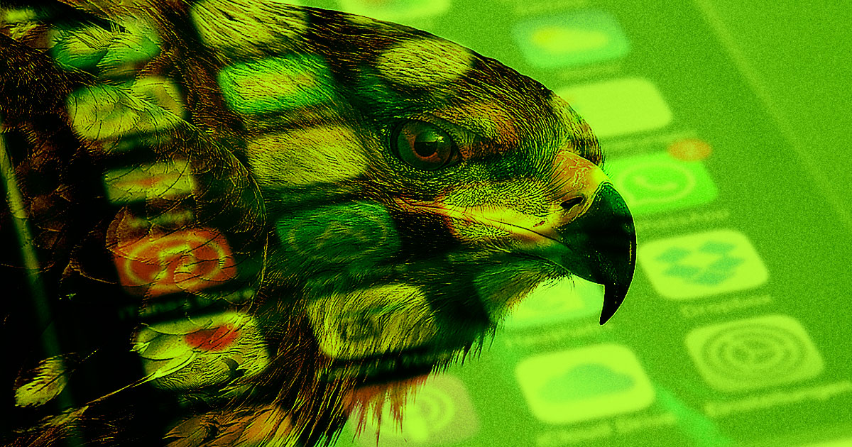 Eagle With Tracking Device Racks up Enormous Roaming Charges