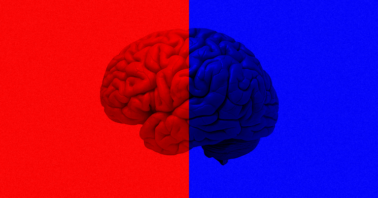 People With Half Their Brain Removed Are Doing Surprisingly Well