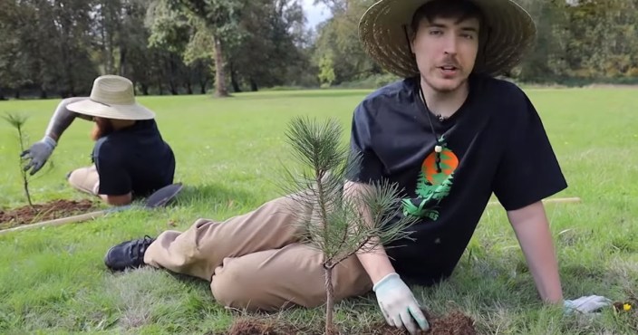 Elon Musk's Team Trees Meets $20 Million Goal | Futurism