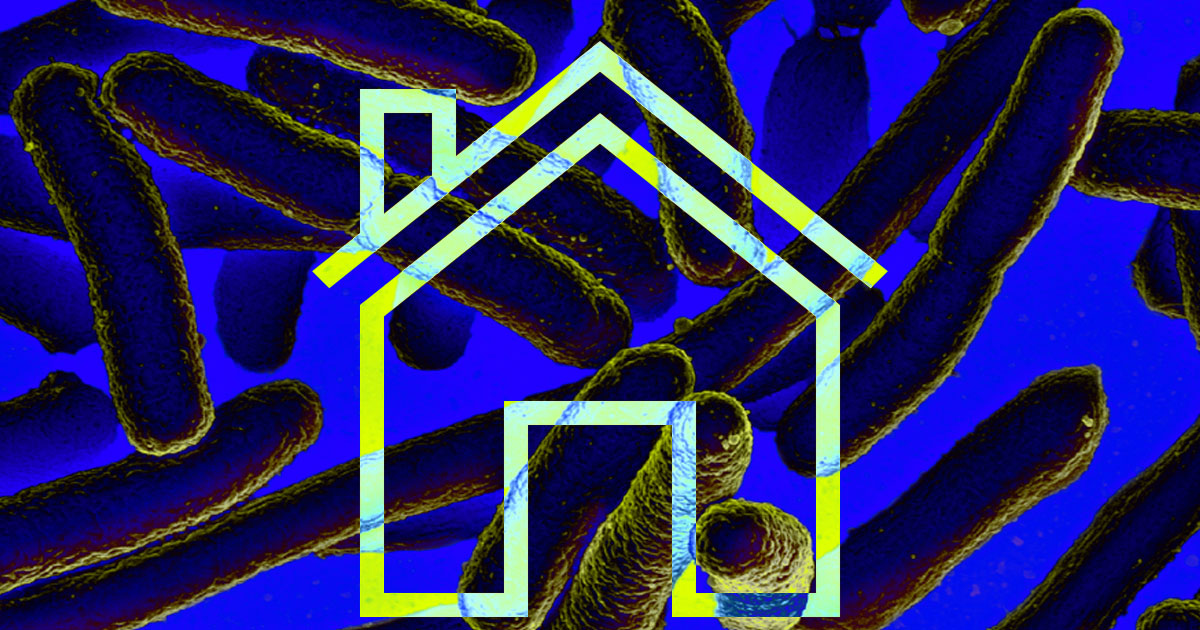 This Professor Wants to Grow Entire Buildings Out of Bacteria