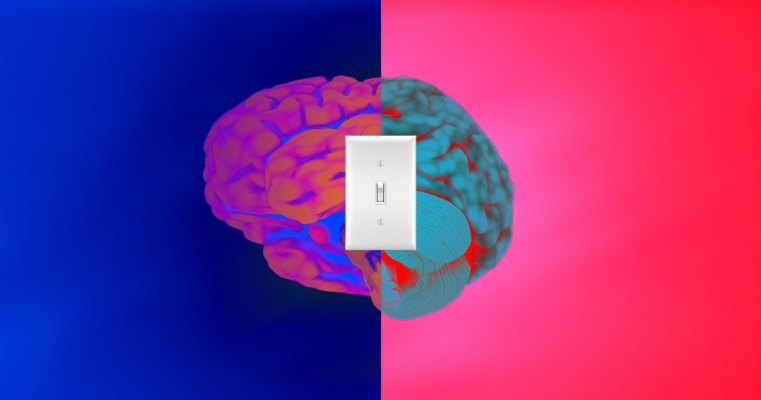 Scientists Working to Build Biocomputers Out of Lab-Grown "Minibrains"