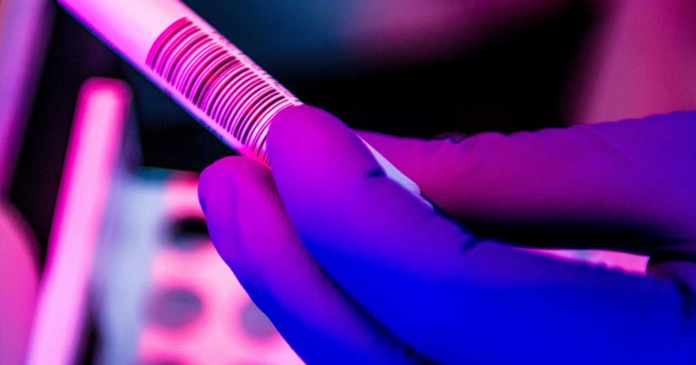 Stanford's New "Universal Vaccine Formula" Nasal Spray Protects Mice ...