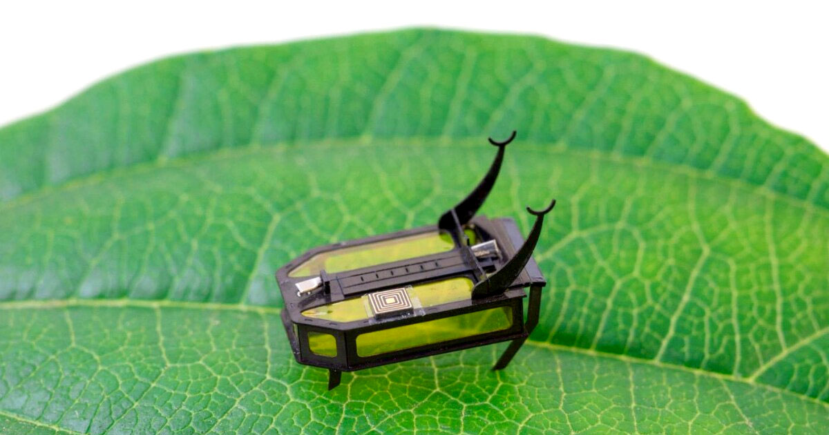 Relatable: This Tiny Robot Is Powered by Alcohol