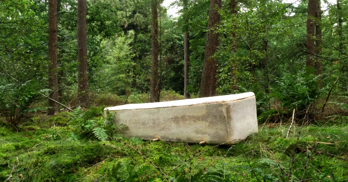 This Moss-Filled Coffin Is Made Out of Fungus