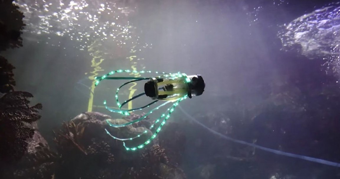 This Swimming Squid Robot Looks Absolutely Amazing