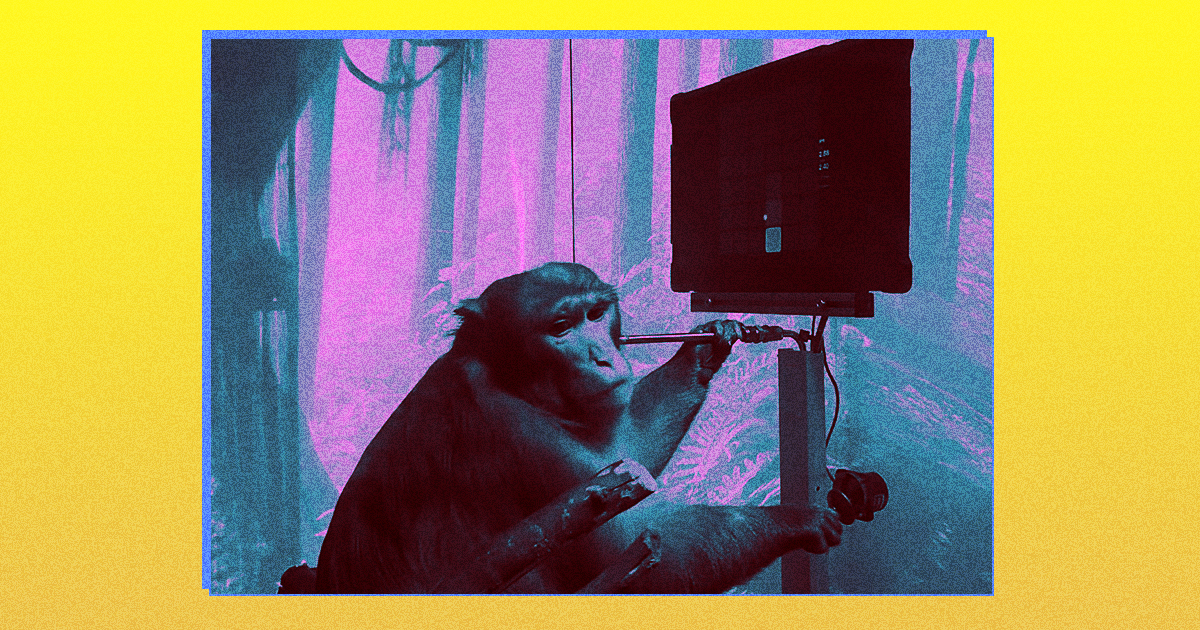 Famed Neurobiologist Slams Neuralink's Monkey Demo