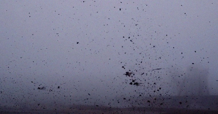 Debris Rains Down on Protected Wildlife After Starship Explosion