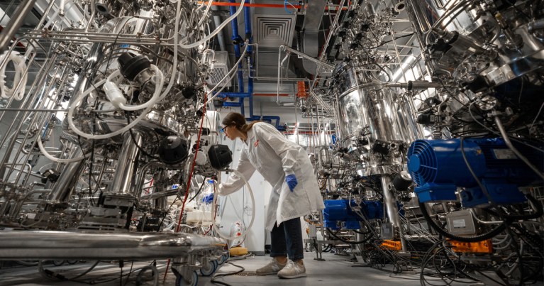 MIT Says We Could Build a House With Lab-Grown Wood