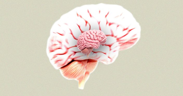 Scientists Find Human Brains Are Getting Larger and Larger