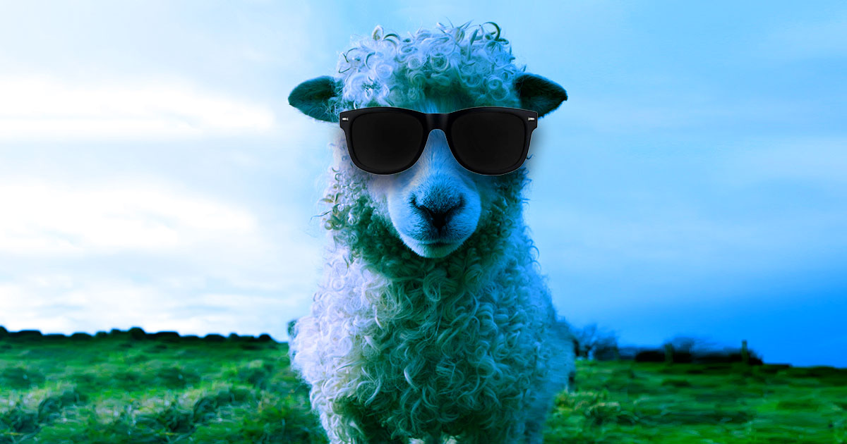 Bionic Eyes Give Sheep Sight, Heading to Humans Next