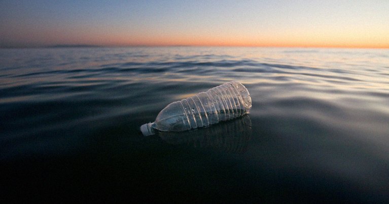 Environmental Catastrophe Passed "Point of No Return" Eight Years Ago ...