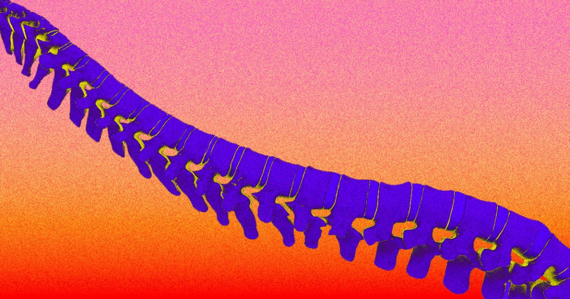 Scientists Heal Paralyzed Mice With Spinal Cord Implants