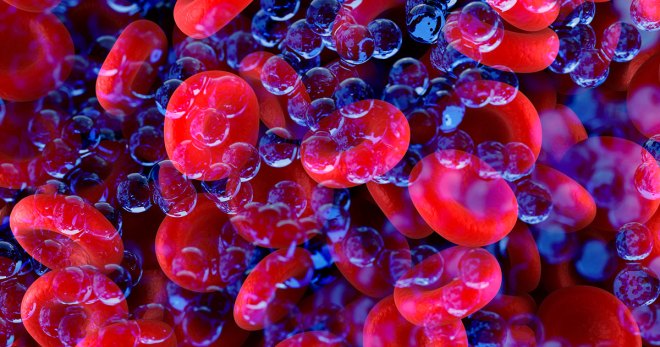 Scientists Find Microplastics Inside Human Organs