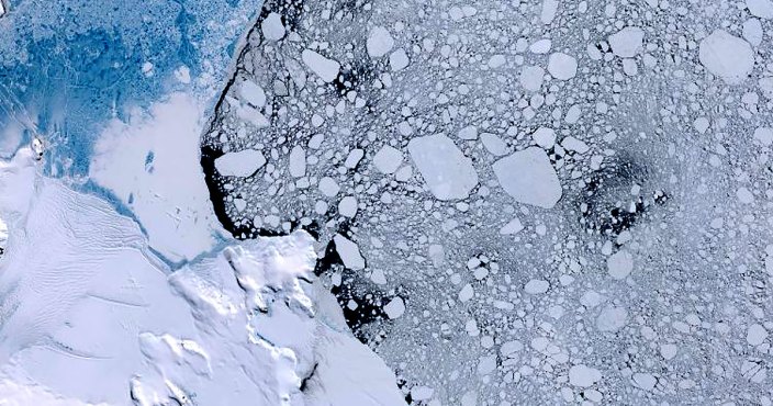 Iceberg Breaks Off Antarctica, Revealing Tentacled Creatures Beneath