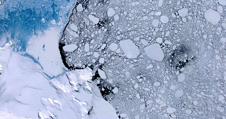 Iceberg Breaks Off Antarctica, Revealing Tentacled Creatures Beneath