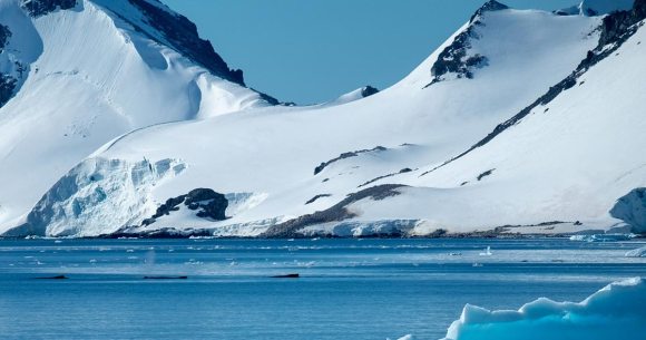 Scientists Find Evidence of an Ancient Rainforest in Antarctica