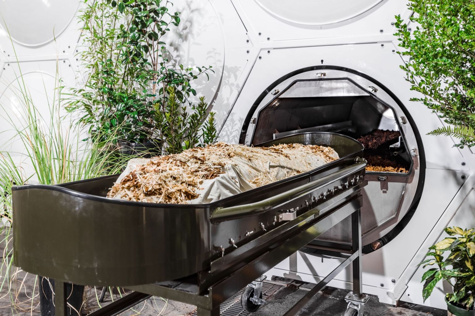 California Legalizes Composting Human Bodies