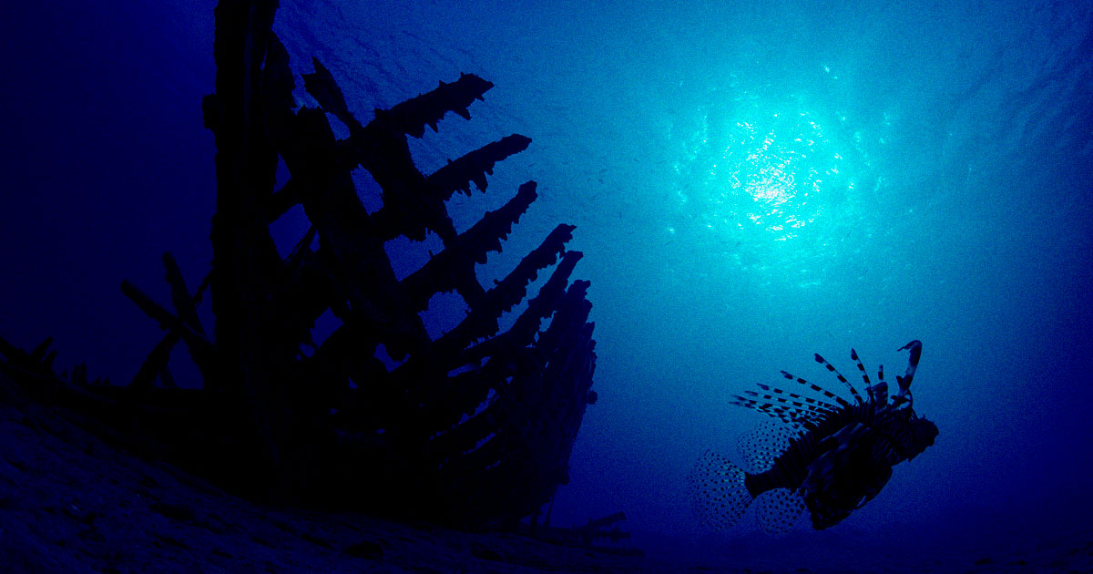 Experts Puzzled by Harvard Scientist Looking for Alien Wreckage in Ocean