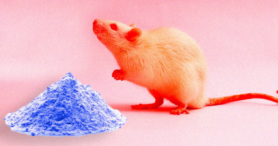Scientists Found a Way to Control How High Mice Got on Cocaine