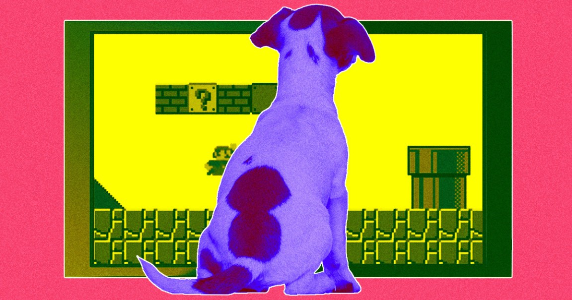 Startup Unveils Videogames for Dogs