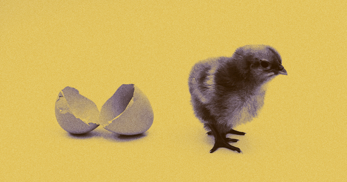 Scientists Gene Edit Hens To Lay Eggs That Can Stop Developing Into ...