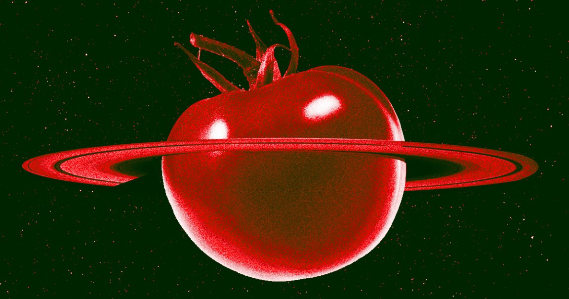 Astronauts Prepare to Grow Juicy Dwarf Tomatoes in Space