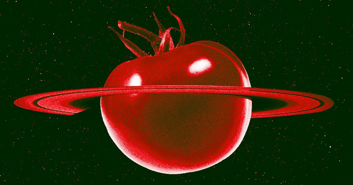 Astronauts Prepare to Grow Juicy Dwarf Tomatoes in Space