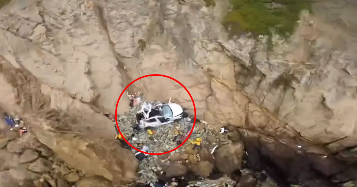 Man Allegedly Drives Tesla Off 250 Foot Cliff on Purpose, But Whole ...