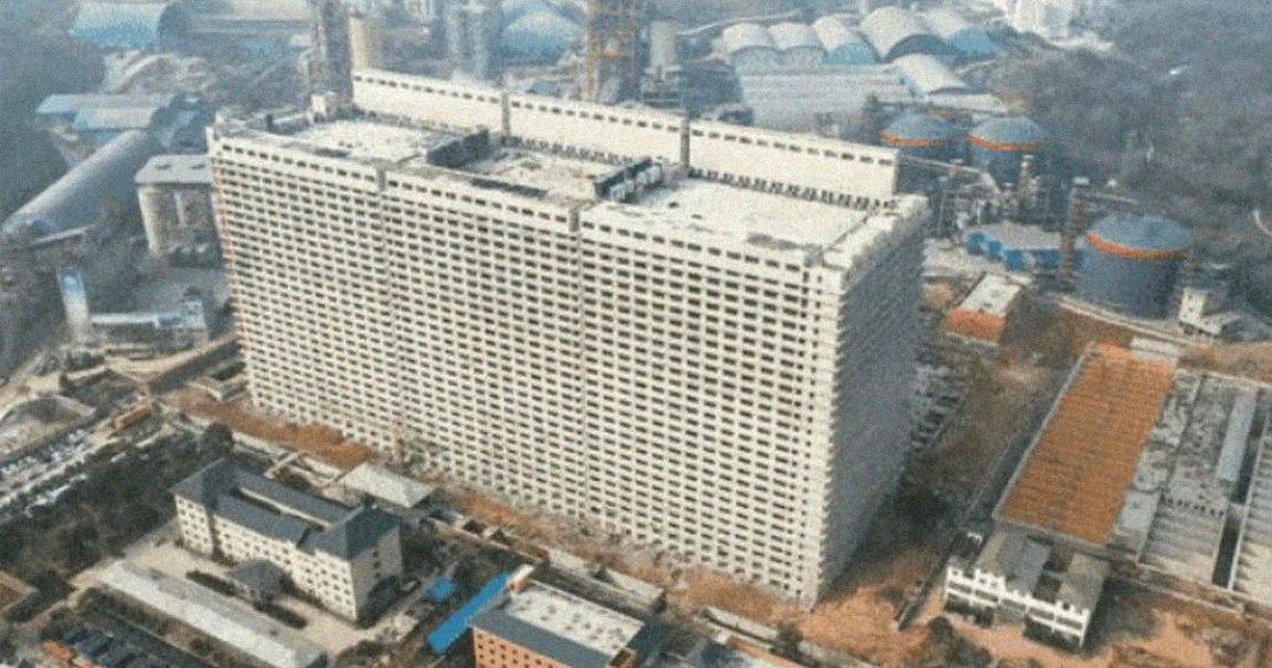 China Growing Pigs in Huge High Rise Buildings